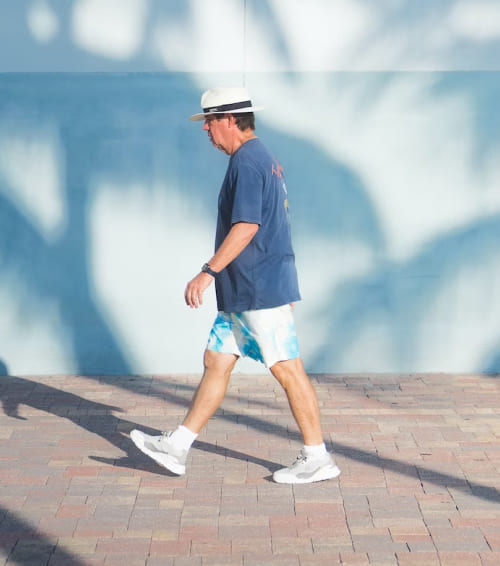 Gallery Modern - VIGORBIRD