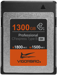 VIGORBIRD - VIGORBIRD