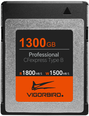 Velociraptor Series Professional CFexpress Type B Card - VIGORBIRD