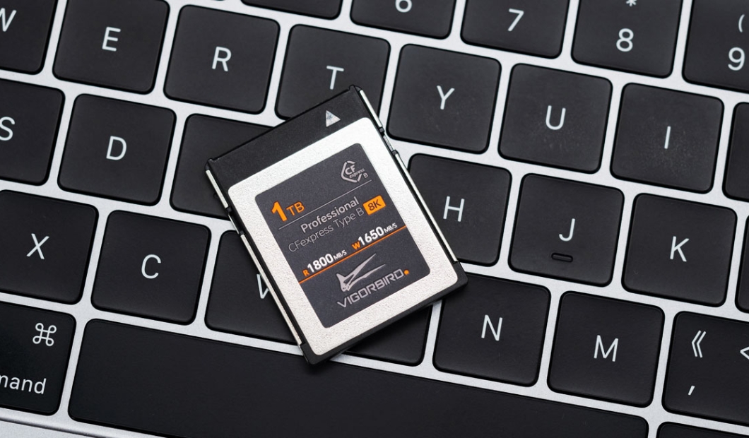 VIGORBIRD - VIGORBIRD