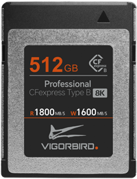 VIGORBIRD - VIGORBIRD