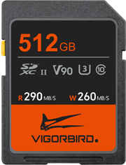 VIGORBIRD - VIGORBIRD