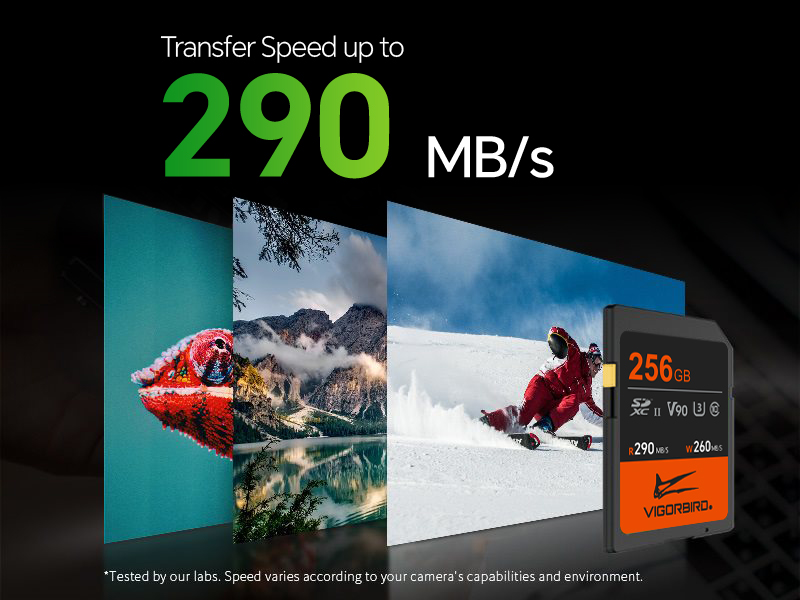 Pterosaur Series Professional V90 SDXC UHS-II SD Card - VIGORBIRD