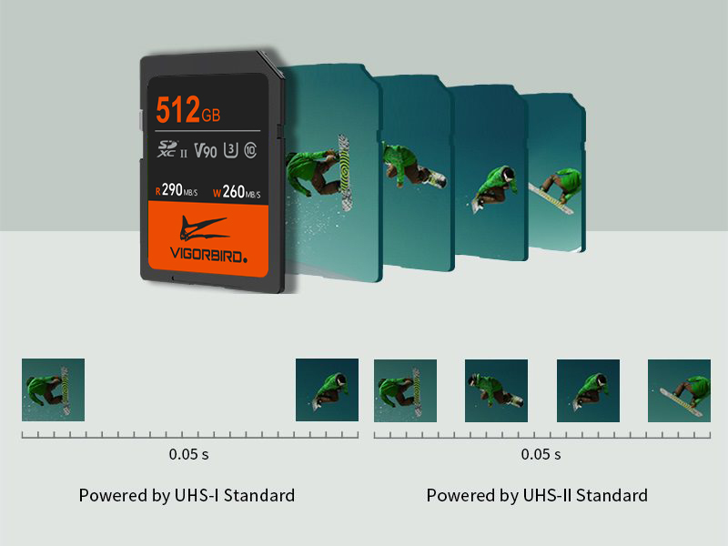 Pterosaur Series Professional V90 SDXC UHS-II SD Card - VIGORBIRD
