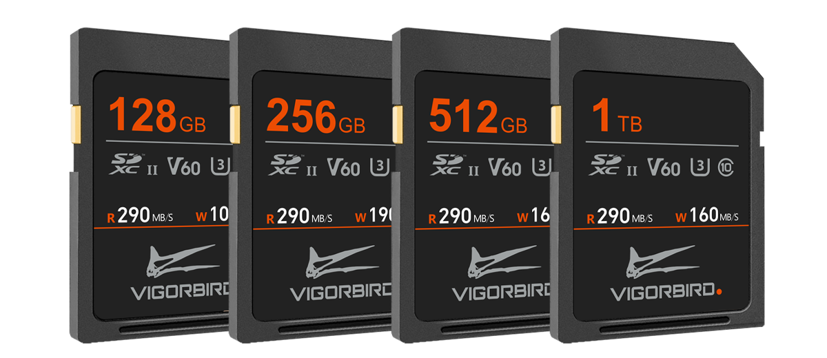 Stegosaur Series Professional V60 SDXC UHS-II SD Card - VIGORBIRD