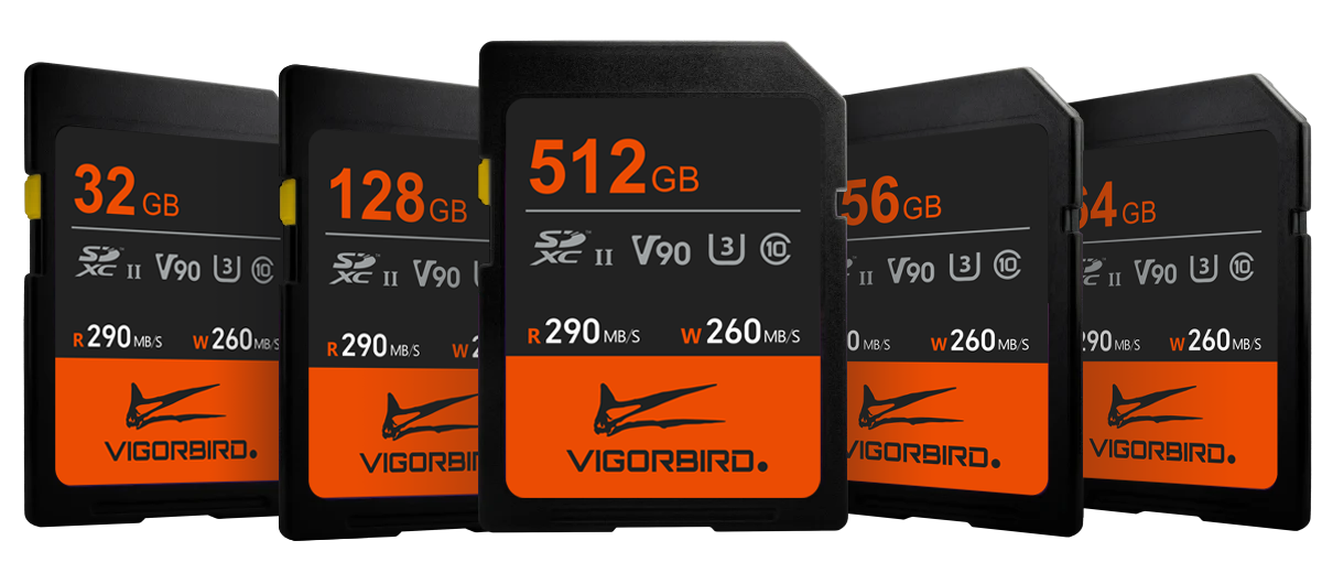 Pterosaur Series Professional V90 SDXC UHS-II SD Card - VIGORBIRD