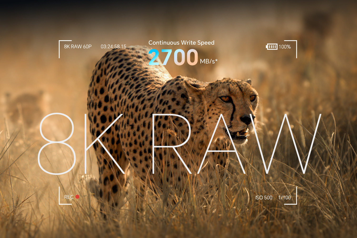 Velociraptor Series Professional CFexpress 4.0 Type B Card - VIGORBIRD