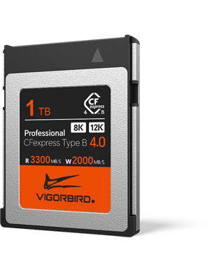 VIGORBIRD - VIGORBIRD